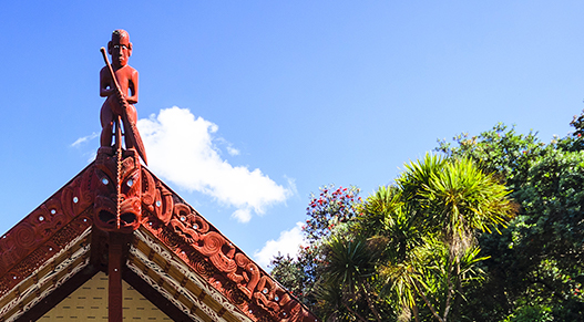 Vector Lights for Waitangi Day 2019 | Vector Limited