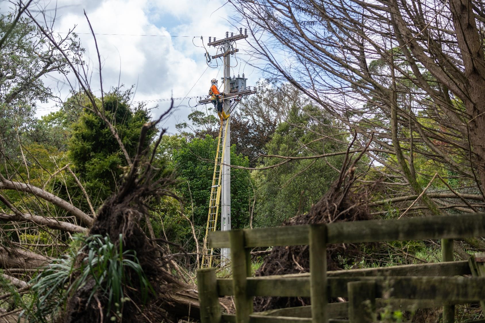 Outages | Vector Limited